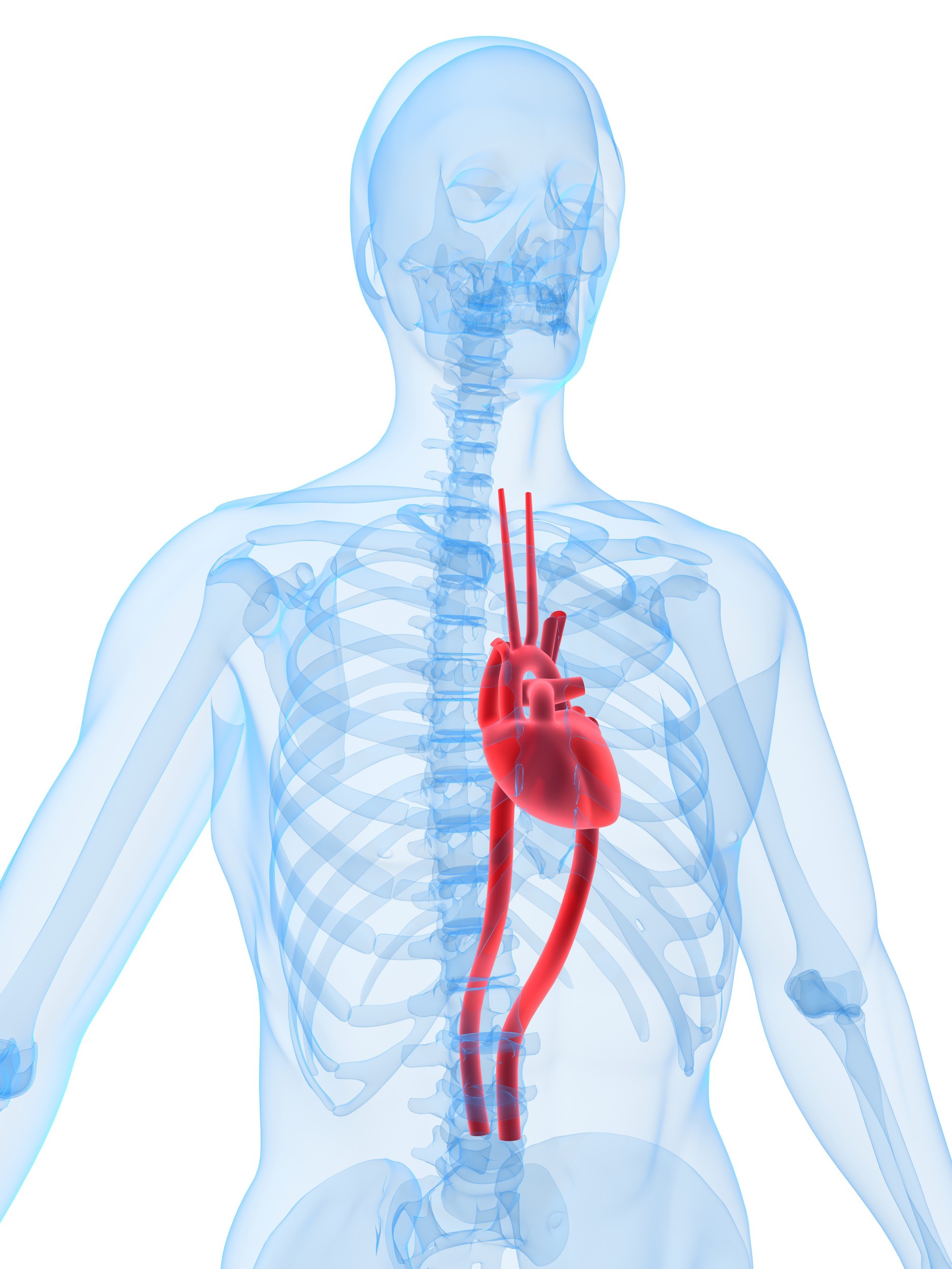 Why You Might Need to Premedicate With Antibiotics Before You See Your ...